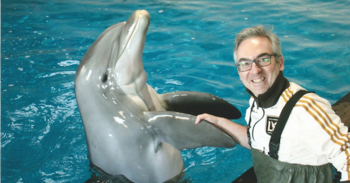 “Als we moeten sluiten, zet ik onze dolfijnen af aan de deur van ...
