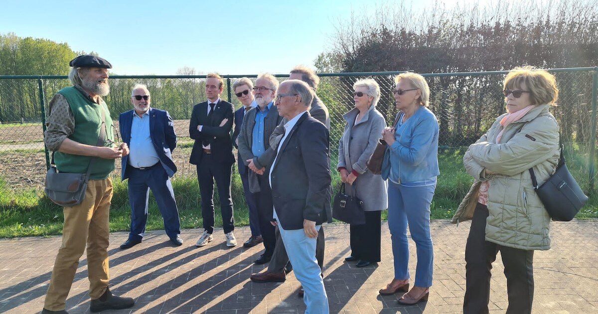 33 verschillende soorten lindebomen in ‘Eeuwige Tuin’ in Aalst: “Een ...