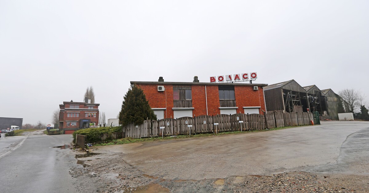 Provincie koopt leegstaande Bomaco-site in Zellik voor 20 miljoen euro ...