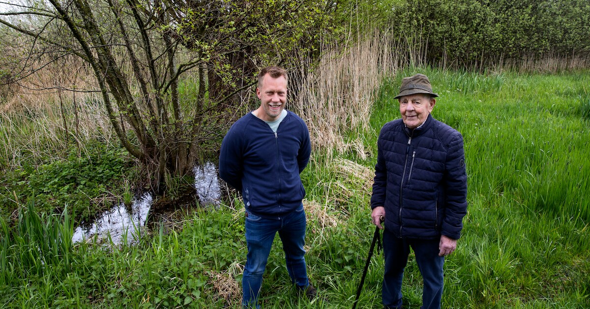 ‘300 kilo paling per nacht bij Schimmelse molen’; alles over de Dommel ...