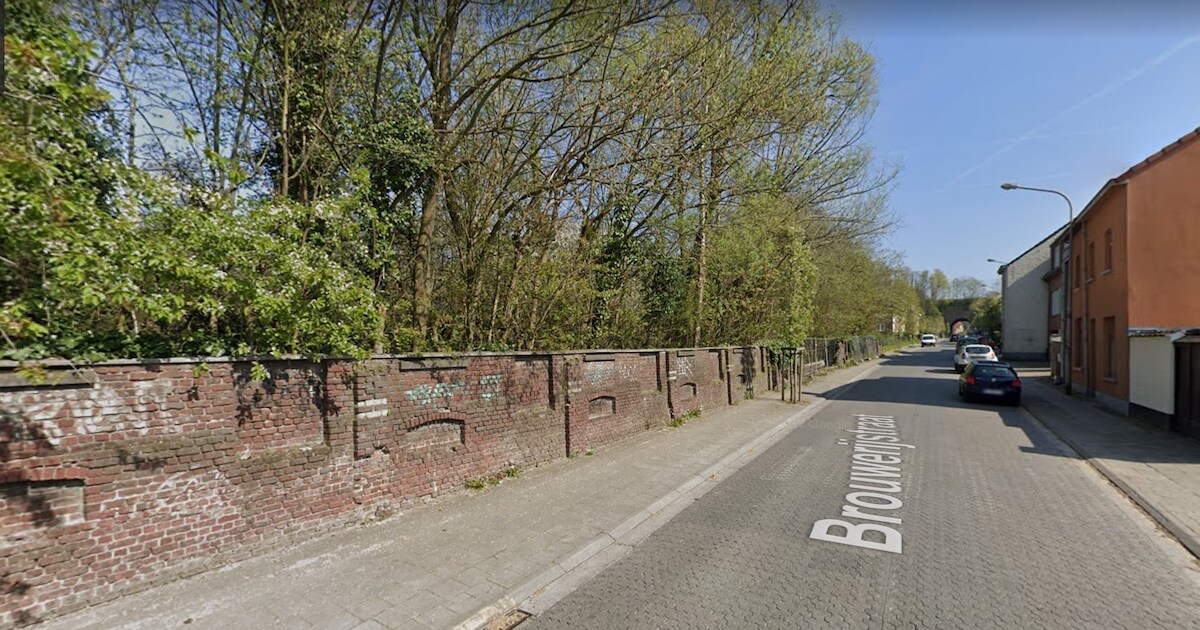 Eerste werken voor nieuwe verkaveling op vroeger domein Van Haelen ...