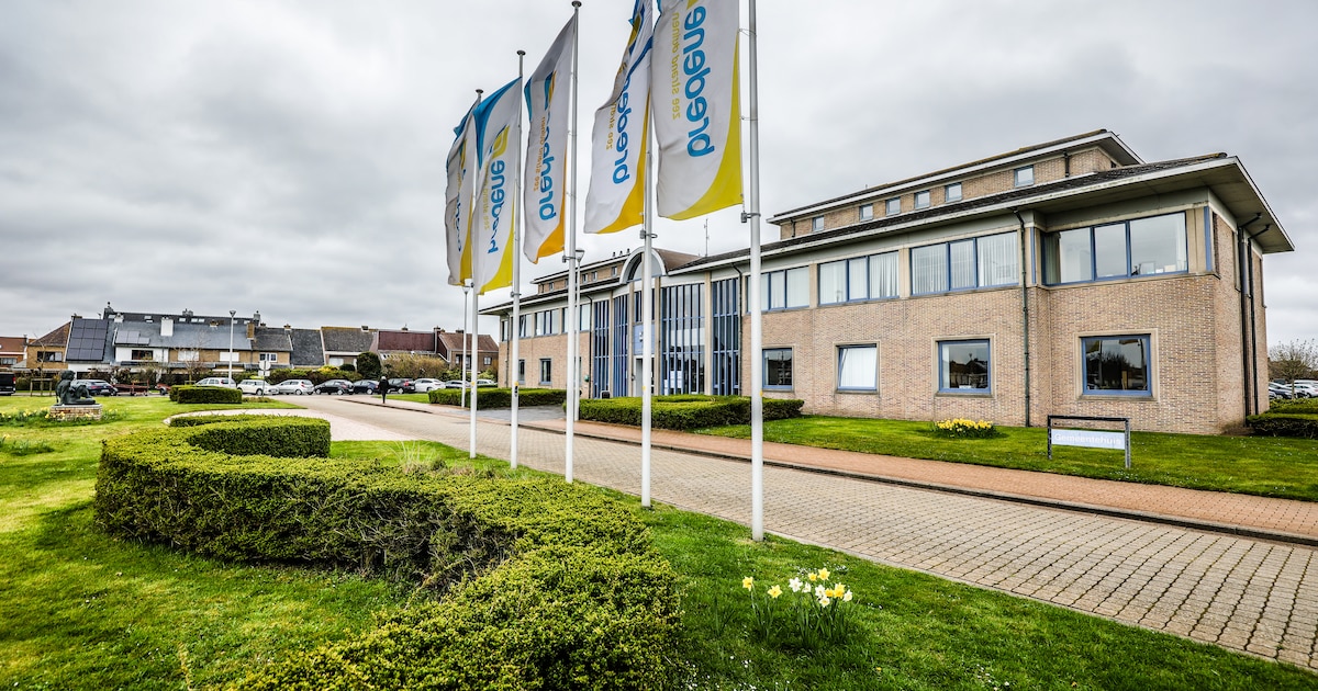 Art From Love viert 10-jarige bestaan met nieuwe expo | Bredene | HLN.be