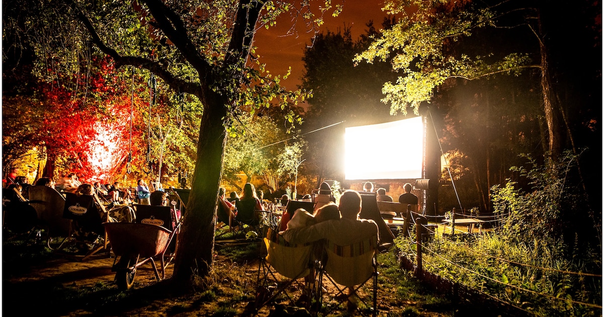 Reizende openluchtcinema langs de Dender: “Een uniek zomers filmevent ...