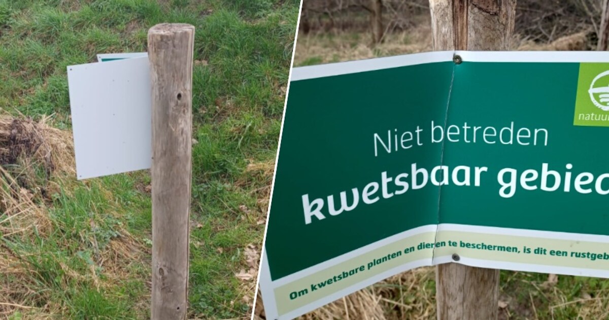 Natuurpunt reageert verbolgen nadat onbekende het opnieuw gemunt heeft ...