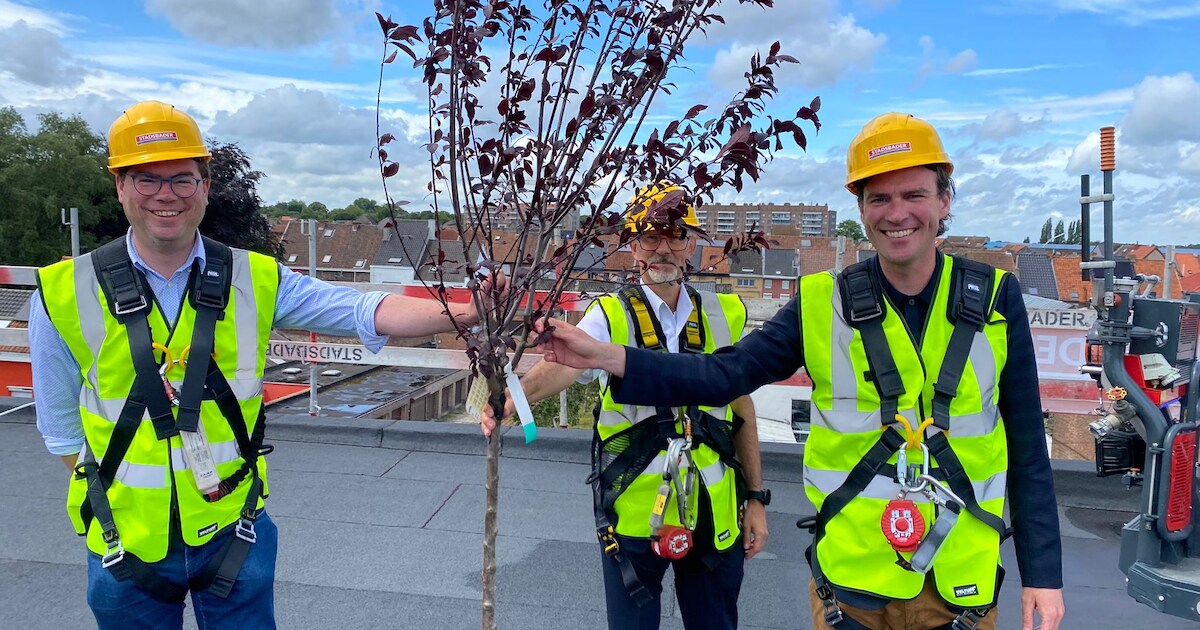 Brandweer plant meiboom op nieuwe brandweerkazerne: “Tegen april 2025 ...