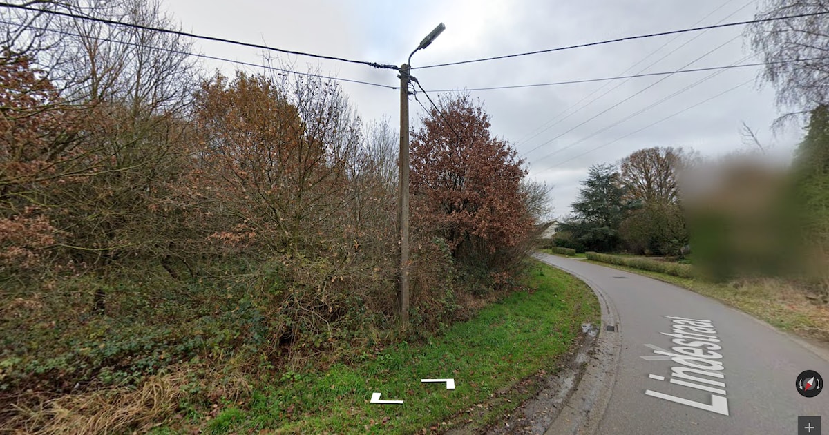Even paniek om gloed in bos van Holsbeek | Holsbeek | HLN.be