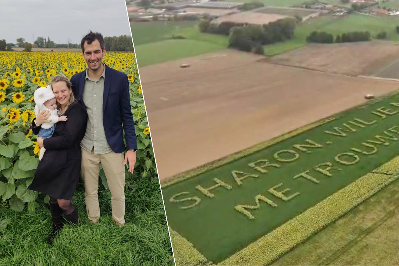 Stijn (39) vraagt Sharon (32) ten huwelijk met zonnebloemen-brief op ...