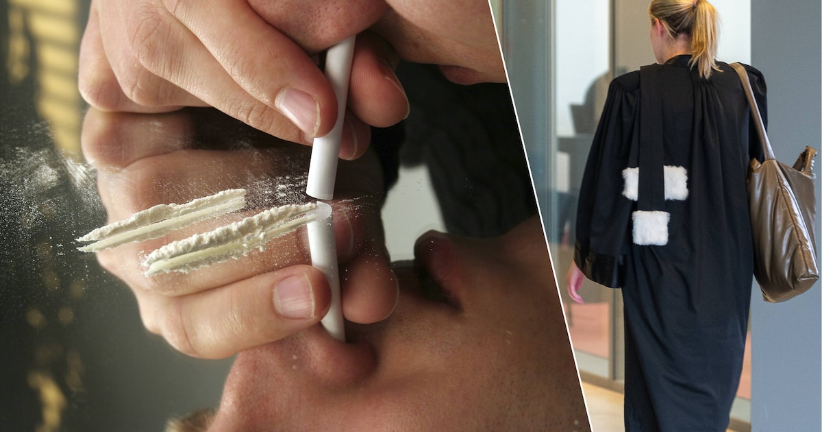 Celstraf voor vrouw die onder invloed van cocaïne door Maldegem zwalpte ...