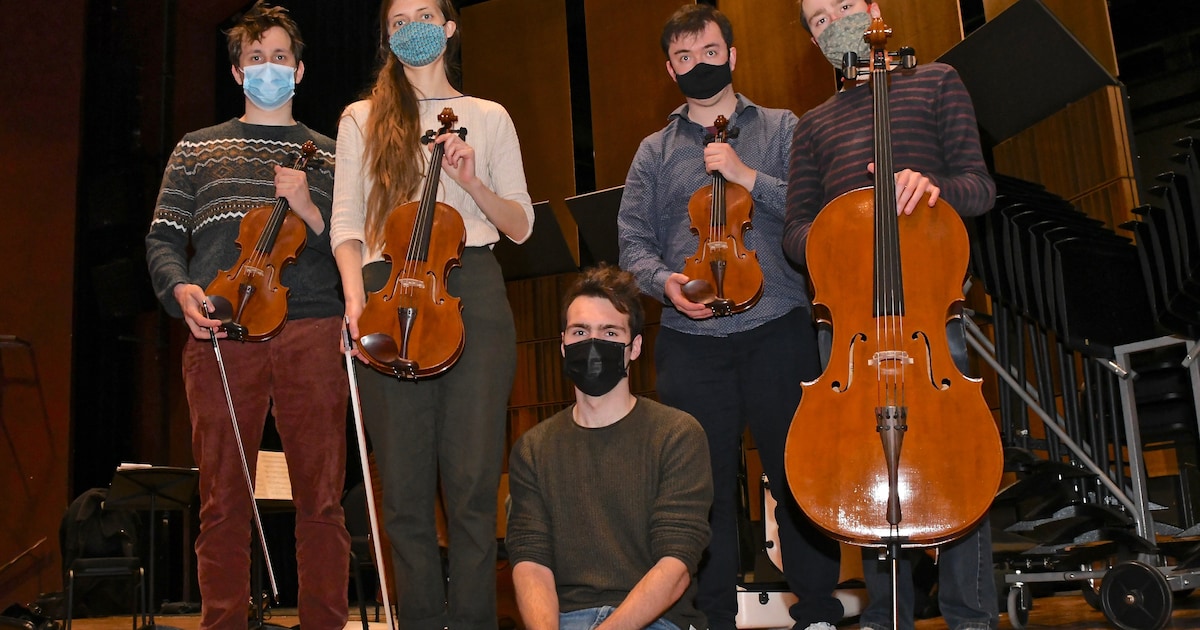 Vik (23) werkte negen maanden aan vier strijkinstrumenten, gebaseerd op ...