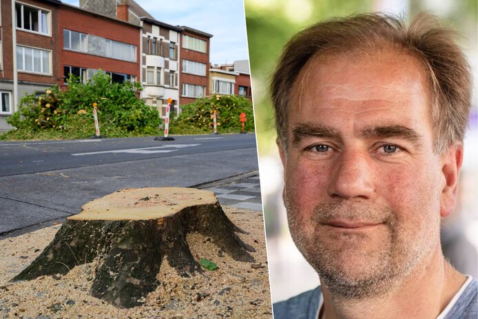 “Er was tijd genoeg om dit te communiceren”: Borgerhouts ...