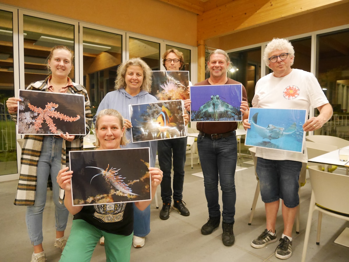 Cafetaria van zwembad pronkt met bijzondere onderwaterfoto’s dankzij ...