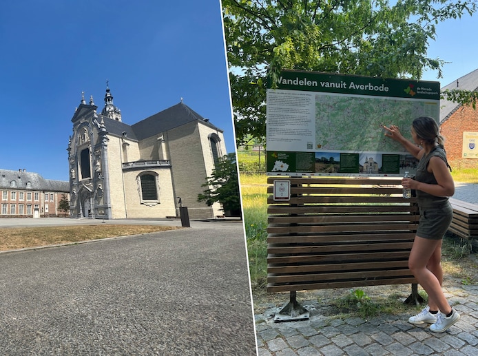 9,5 km lang genieten tussen uitgestrekte bossen: onze journaliste test ...