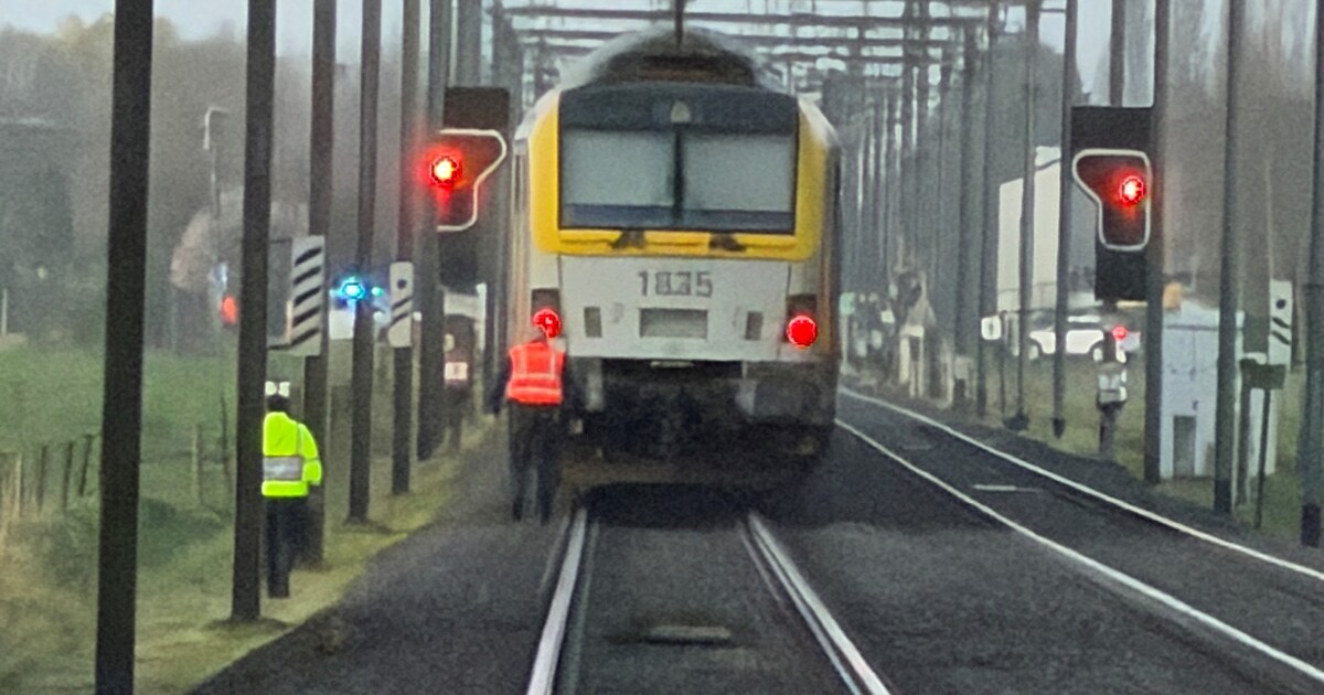 Treinverkeer even onderbroken door incident met trein in Loppem | Regio ...