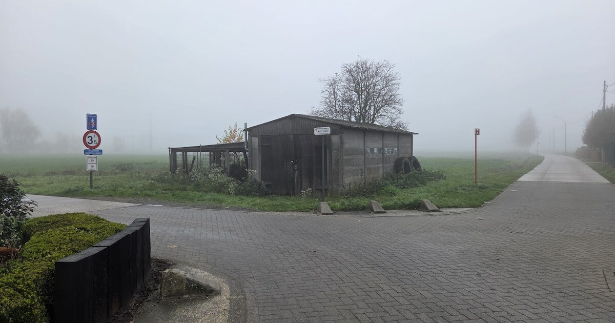 Kruispad voortaan verboden voor verkeer boven 3,5 ton | Rijkevorsel ...