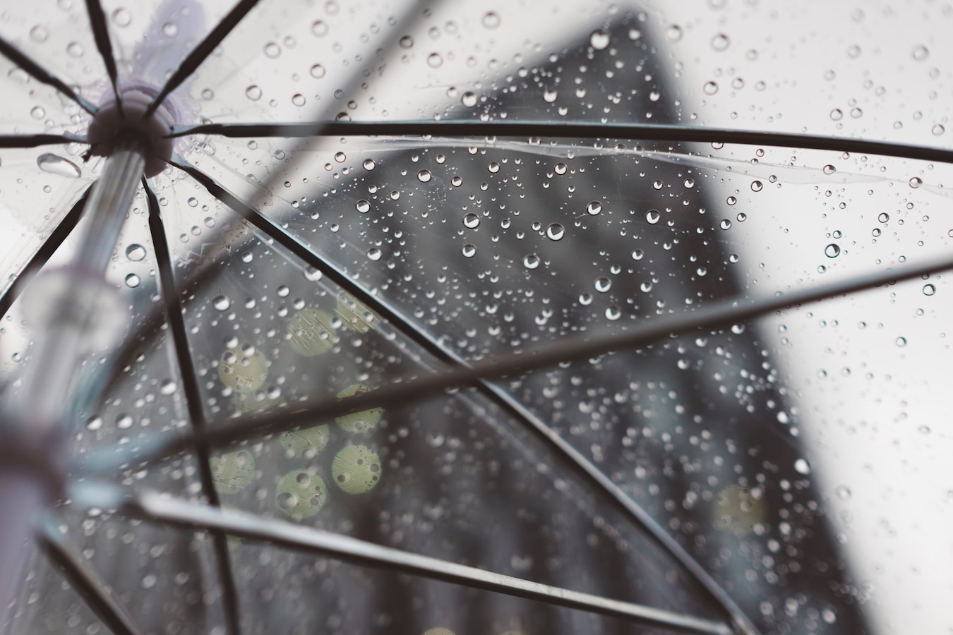 WEER. Vanochtend lichte regen en bewolkt weer in Zulte | Foto | hln.be
