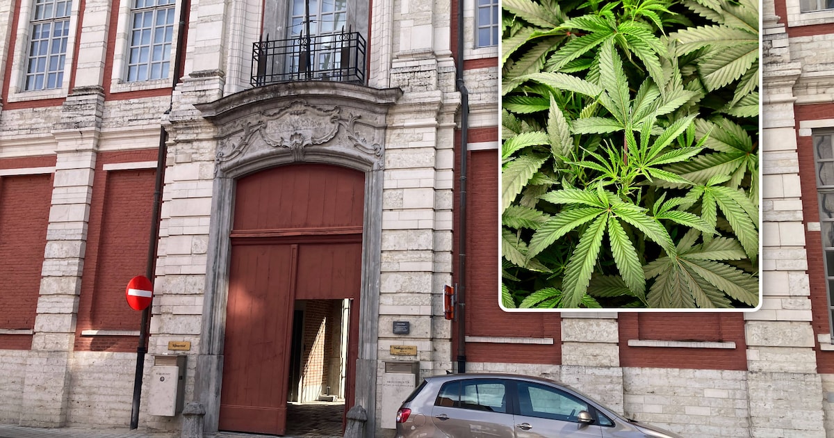 Woning verhuurd aan ‘keurige mensen’, tot politie plots voor de deur ...