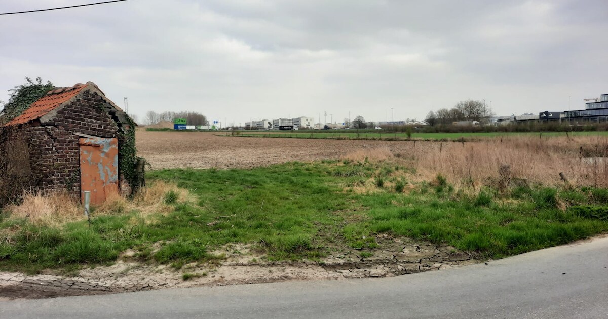 21 bedrijven aangeduid die een plek krijgen op Blauwpoort, onder meer ...