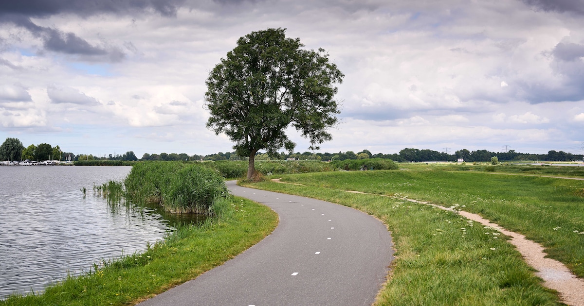 Officieel watertekort in Nederland door droogte | Buitenland | HLN.be