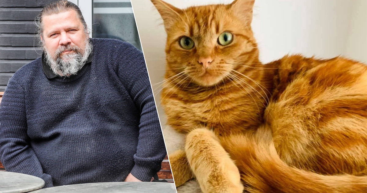 Wie heeft Oostendse cafékat Primus Corleone gezien? “Dankzij hem vonden ...