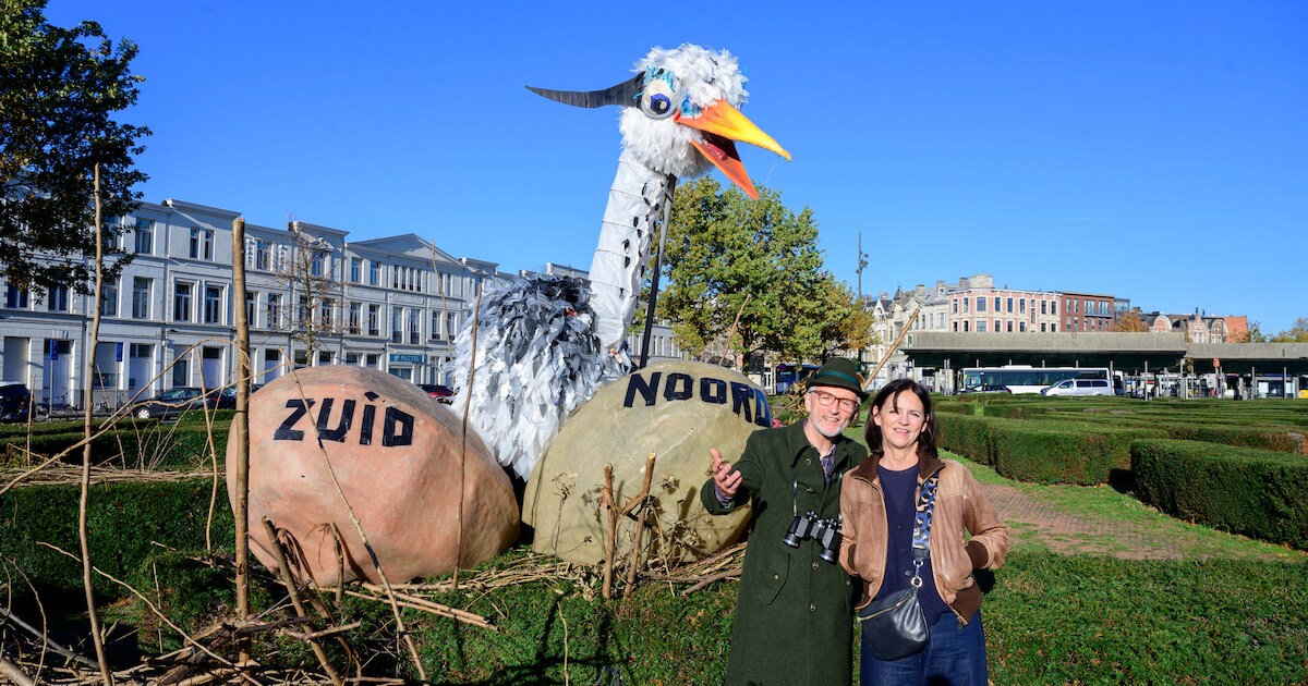 Daar is reiger Ringa: ludieke actie blikt vooruit naar Ringland-avond ...