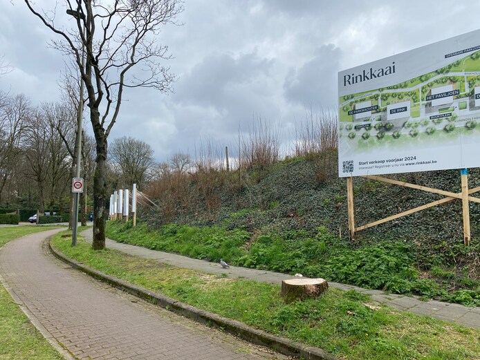 Bomen gekapt die voor promoborden staan in Gent: “Ze vangen meer wind ...