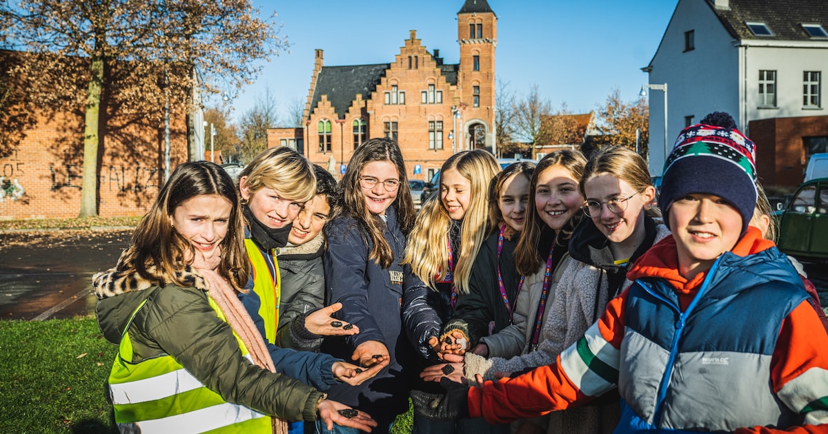 REPORTAGE. Hoop slinkt, maar inwoners geven zoektocht naar ‘Lievegemse ...