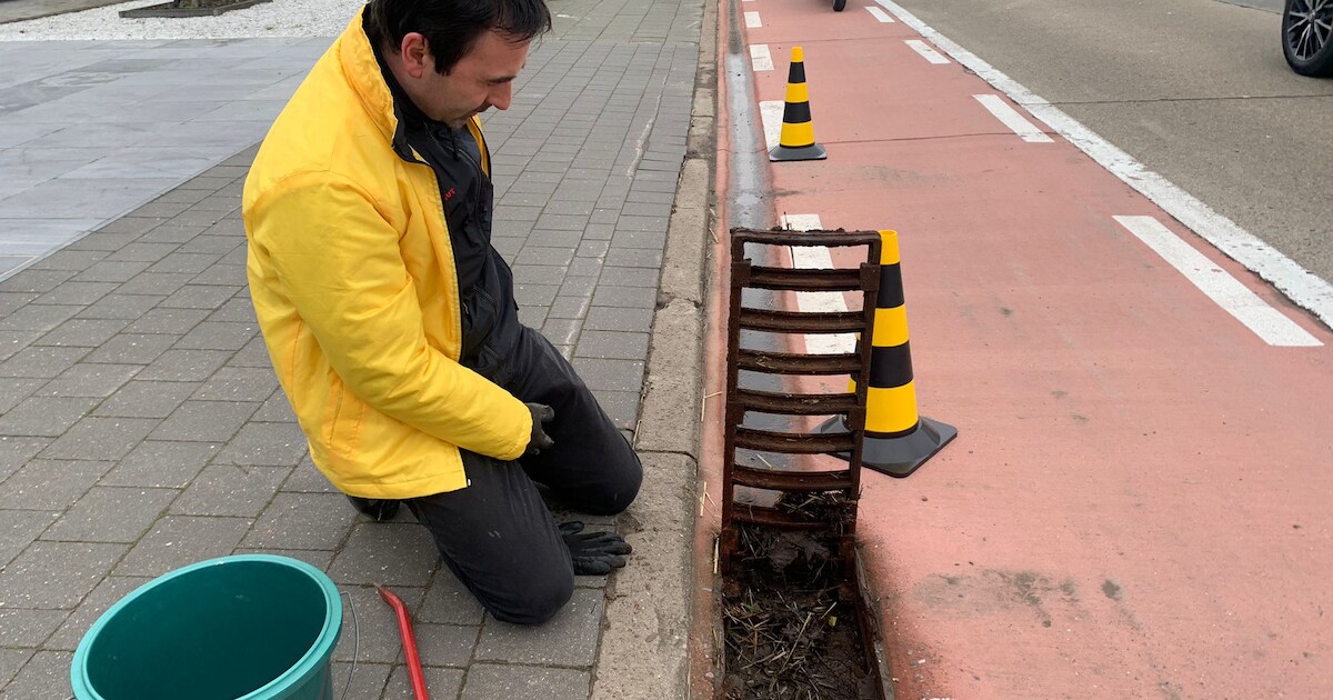 Parlementslid reinigt zelf rioolkolken: “23 kolken vol met bladeren van ...