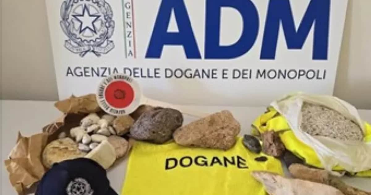 Franse toeriste (69) riskeert tot 3.000 euro boete nadat ze 40 kilo ...