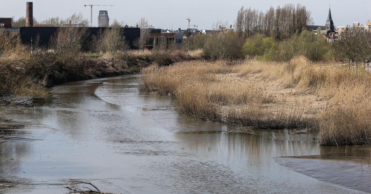 Dan toch geen plezierbootjes op Schelde | Gent | HLN.be