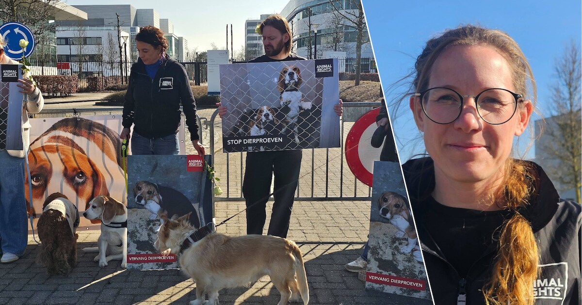 “Misdadig, ook ‘in naam van de wetenschap’”: actievoerders van Animal ...