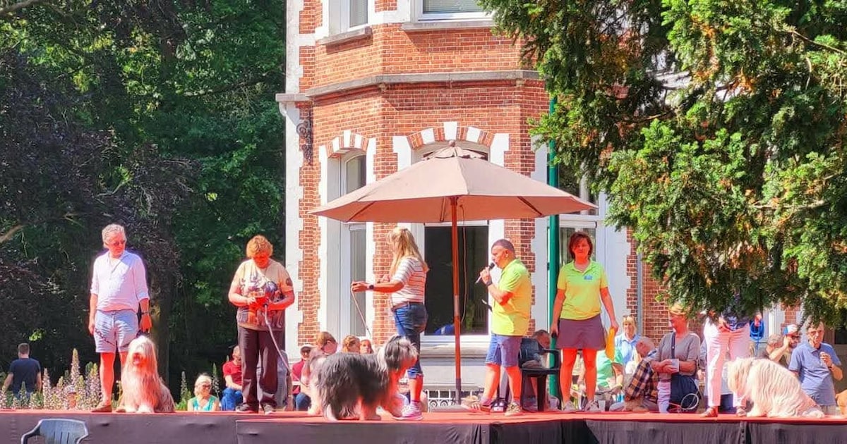 Beestig Eeklo viert 5de verjaardag: dit valt er te beleven | Regio | HLN.be