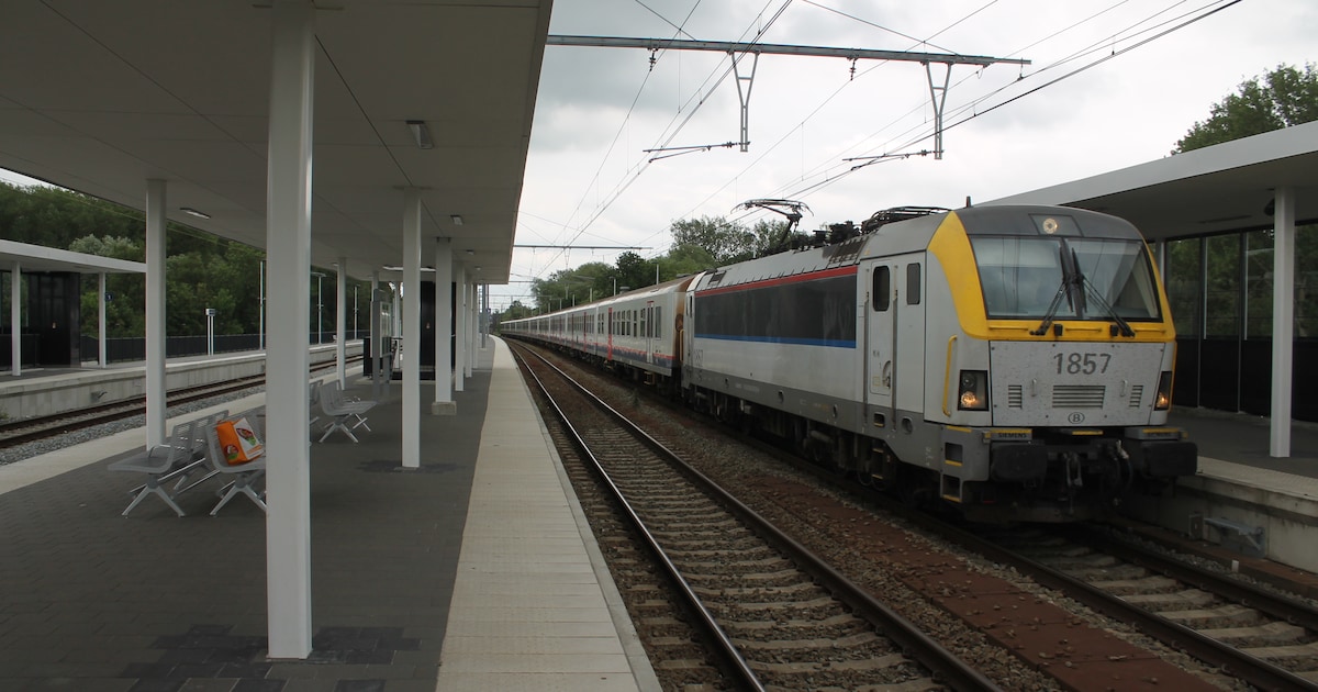 Treinverkeer tussen Denderleeuw en Brussel-Zuid lag uren stil na ...