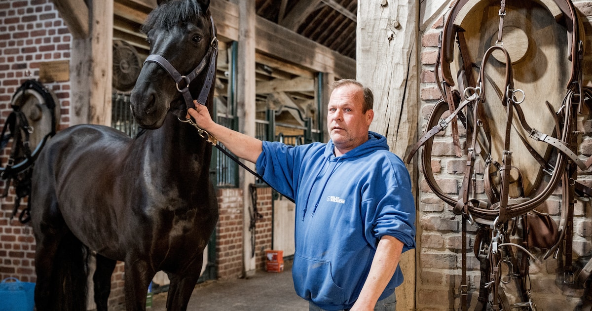Steven stond 23 jaar lang dag en nacht klaar voor Willy Naessens en ...