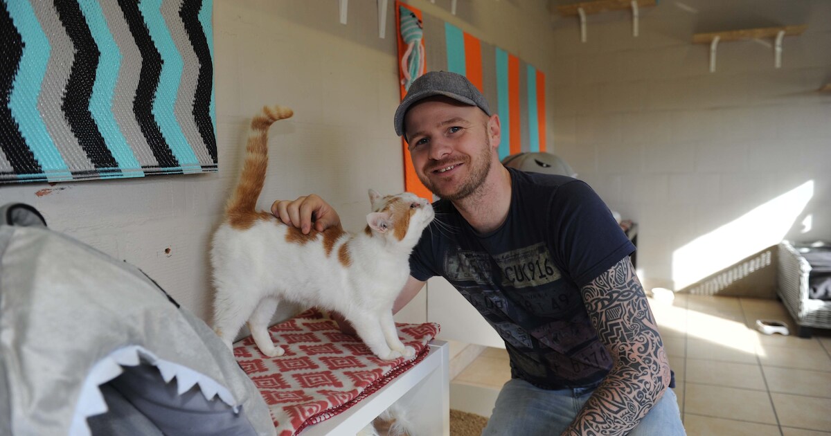 Huidige en vorige uitbater dierenasiel in de clinch over folder rond ...