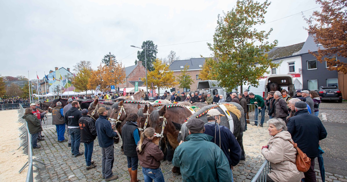 Lennik maakt zich op voor 75ste jaarmarkt met optredens en ...