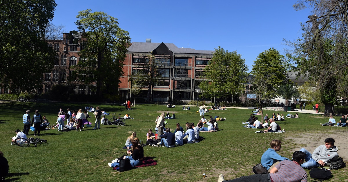 Stad Leuven gaat Sint-Donatuspark opwaarderen: “De unieke Engelse ...