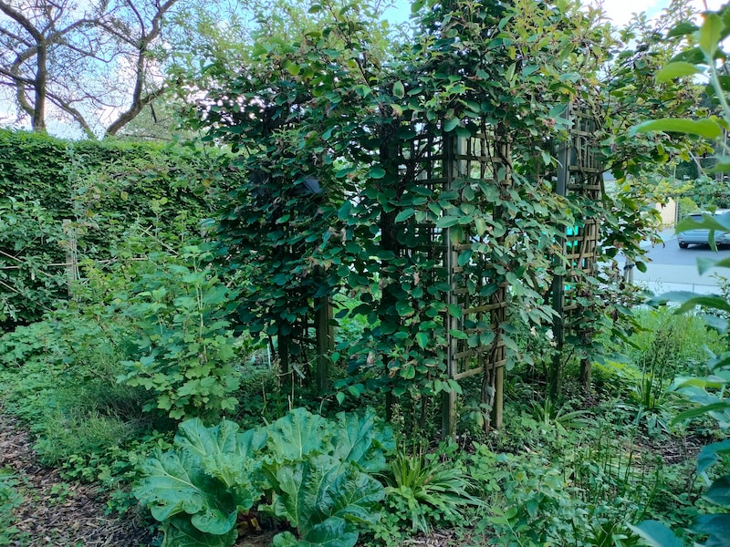 Landelijke Gilden zet in op biodiversiteit met gratis workshops in ...