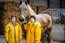 Van een redding op zee tot de eerste vrouwelijke visser te paard: tien ...