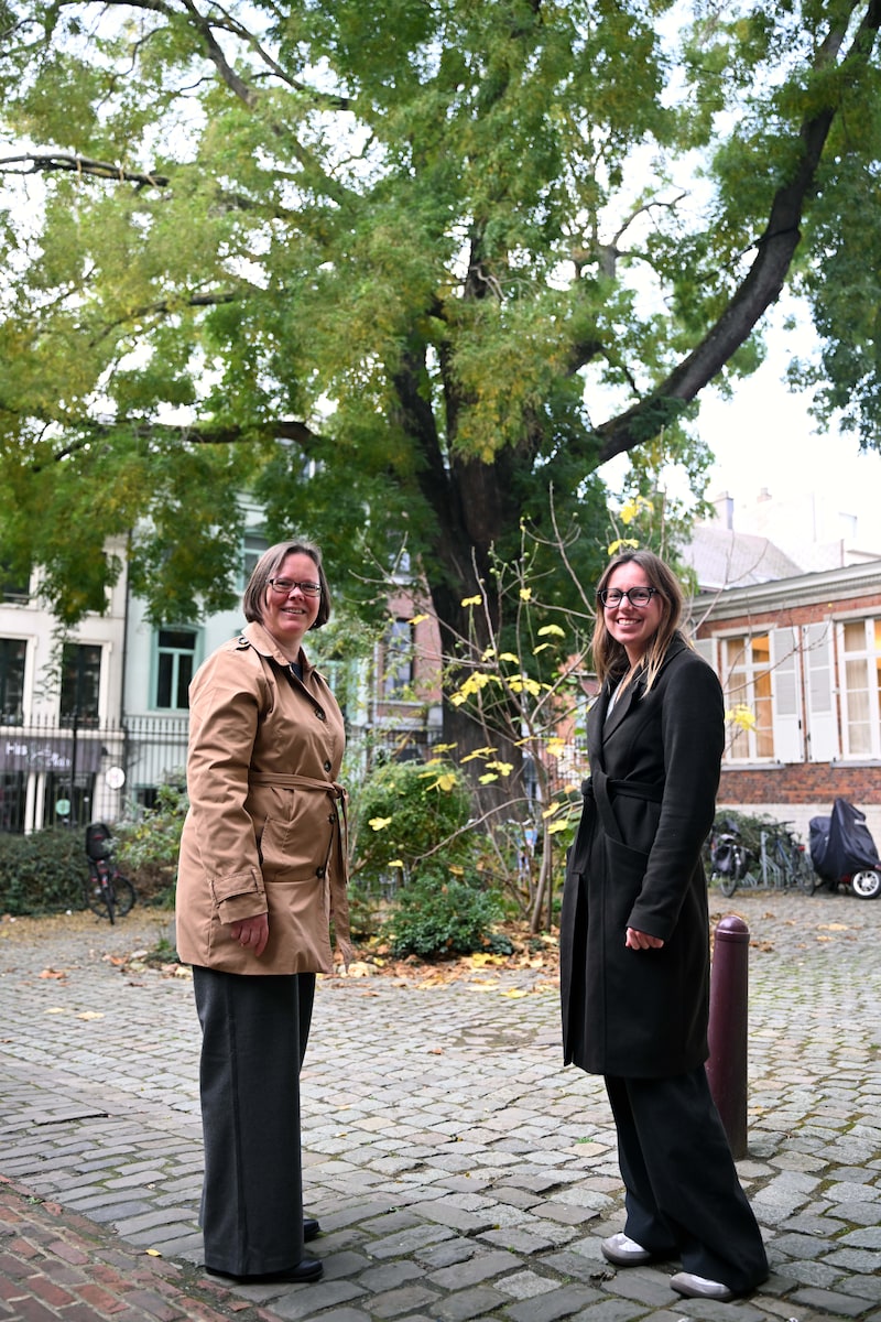 Waarom deze ‘Boom van ’t Groot Verdriet’ in Leuven minstens 1,3 miljoen ...