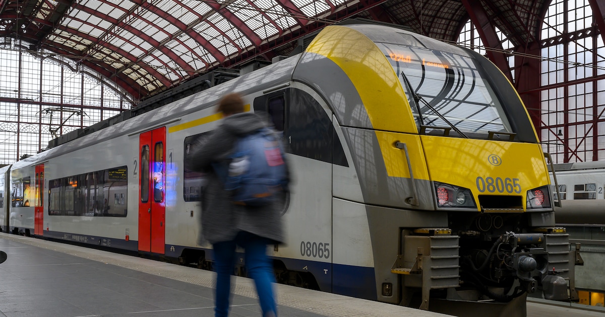 Staking openbare diensten: slechts 1 op de 3 treinen rijdt vrijdag ...