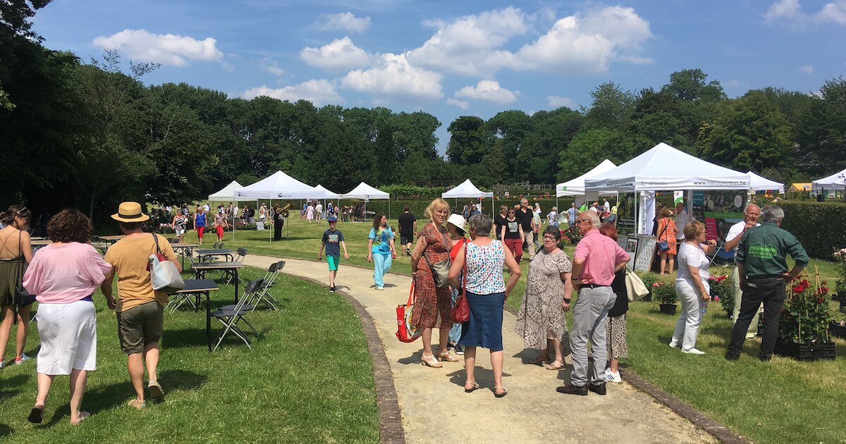 Rozenfestival duurt de hele zomer met workshops en begeleide ...