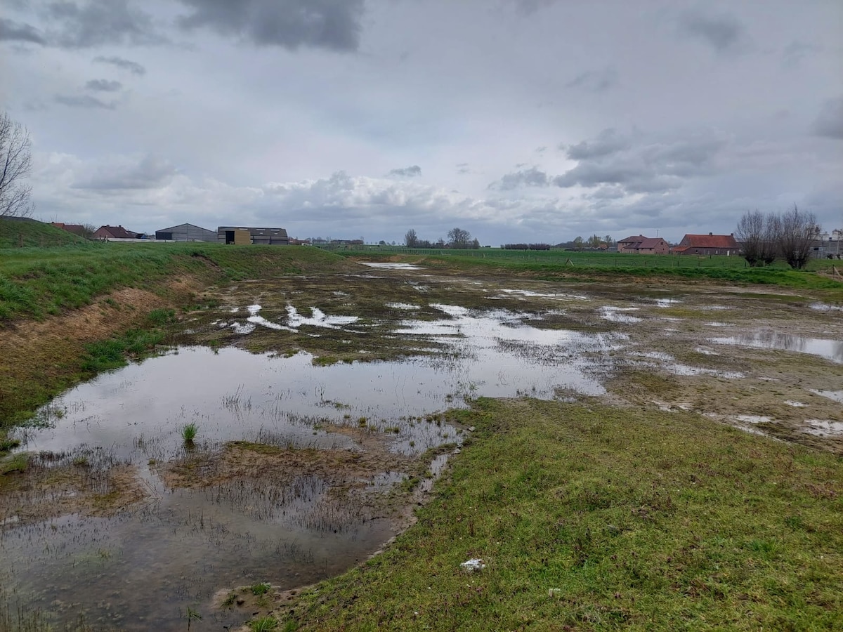 Omheining stond verkeerd: Roeselare koopt stukje landbouwgrond aan ...