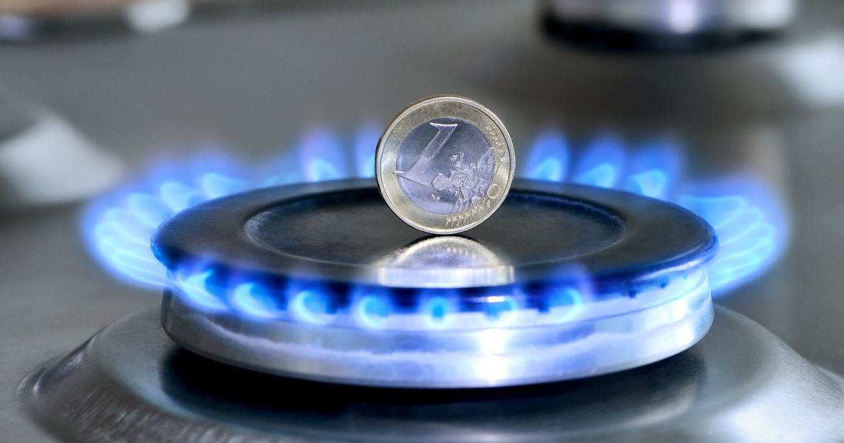 Energie wordt wat goedkoper: jaarprijs voor aardgas daalt met 673 euro ...
