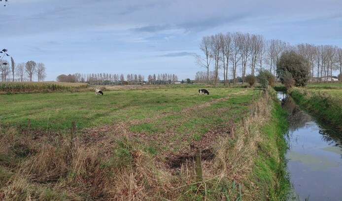 Vanaf september werken in Beverhoutsveld om water beter vast te houden tijdens droge periodes ...