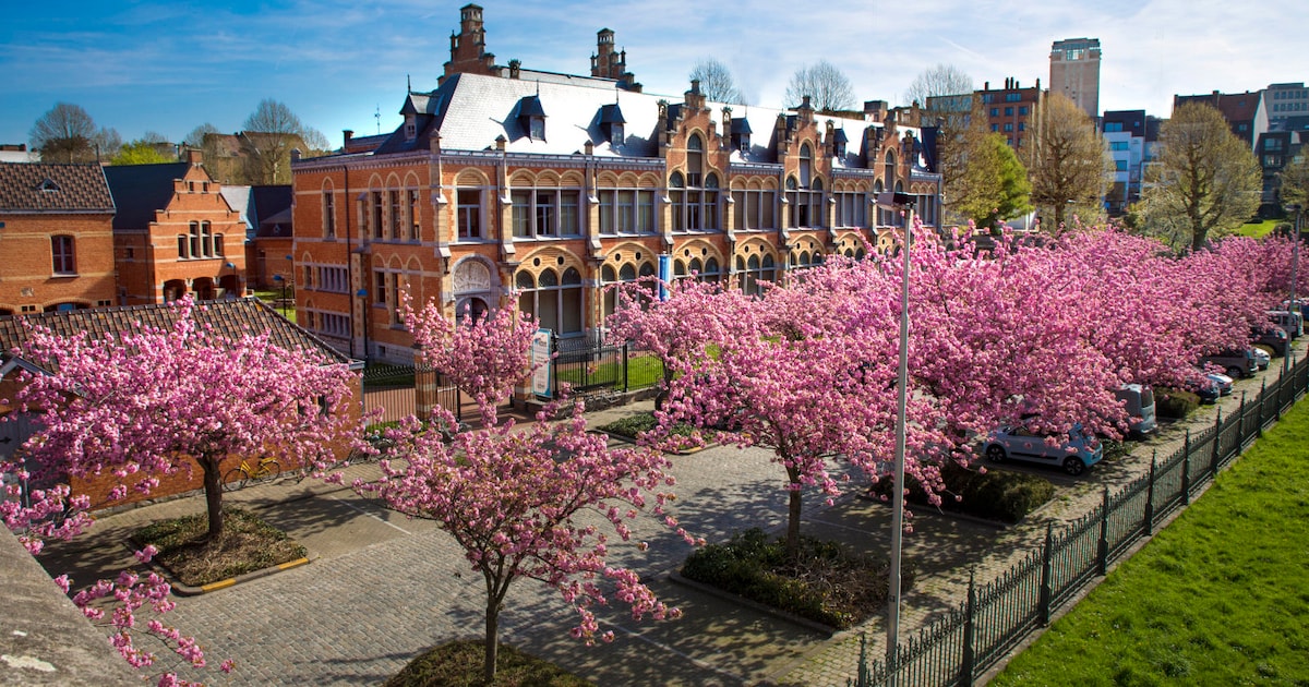 Historische Rommelaere-site opent sneller dan verwacht: oproep voor ...