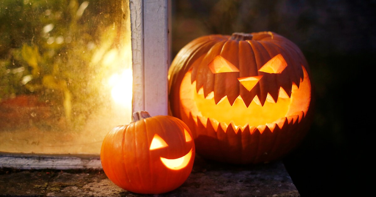 Gezellig griezelen? Halloweenwandeling bij Stal Hassing keert terug op ...