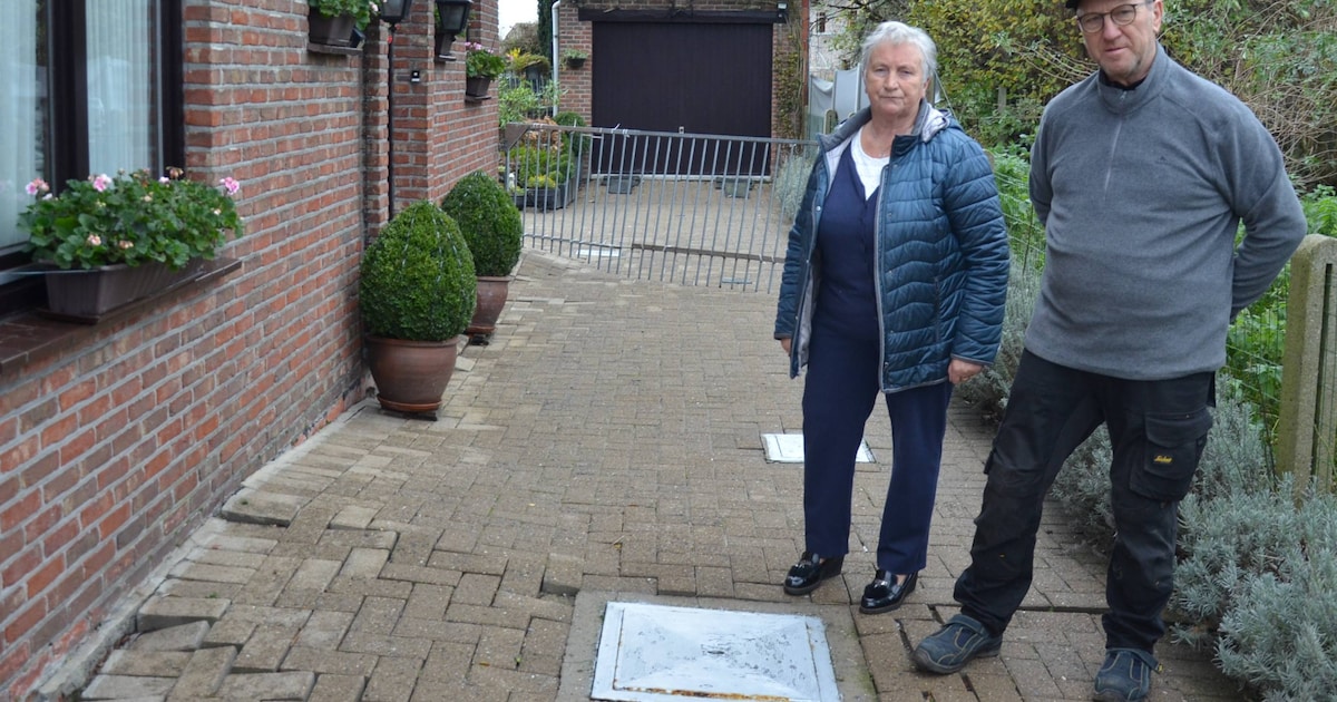 “Waarom de kerstboom in die hoek staat? Om de schimmel te verbergen ...