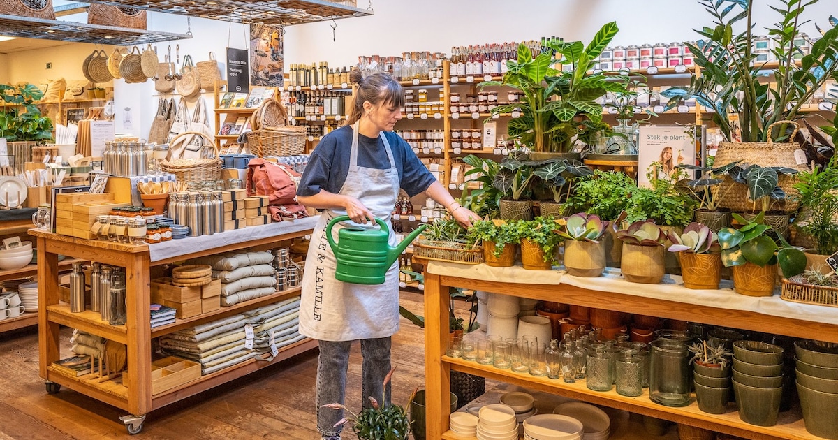 Dille & Kamille strijkt eindelijk neer in Knokke-Heist: “Concept past ...