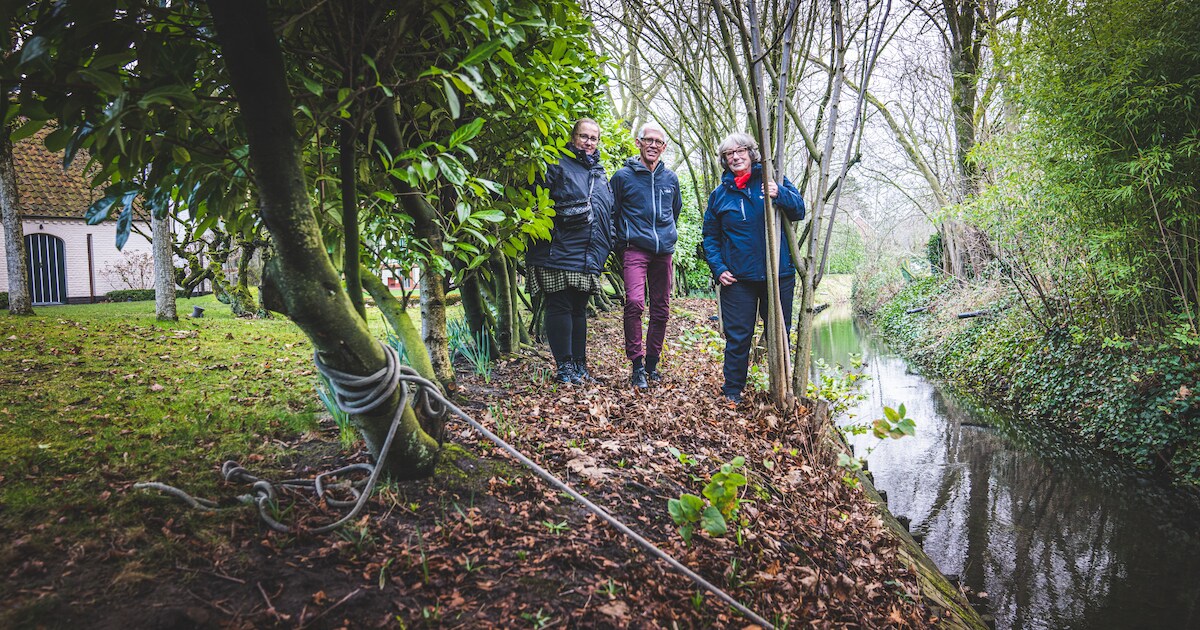 Klein jaar verder, maar oude waterloop in Wondelgem nog steeds niet ...