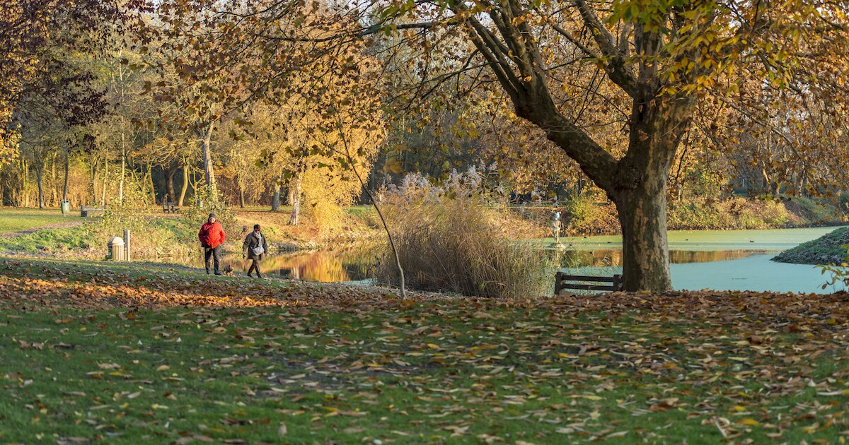 Provinciebestuur wil rookverbod in alle recreatiedomeinen (dus ook De ...